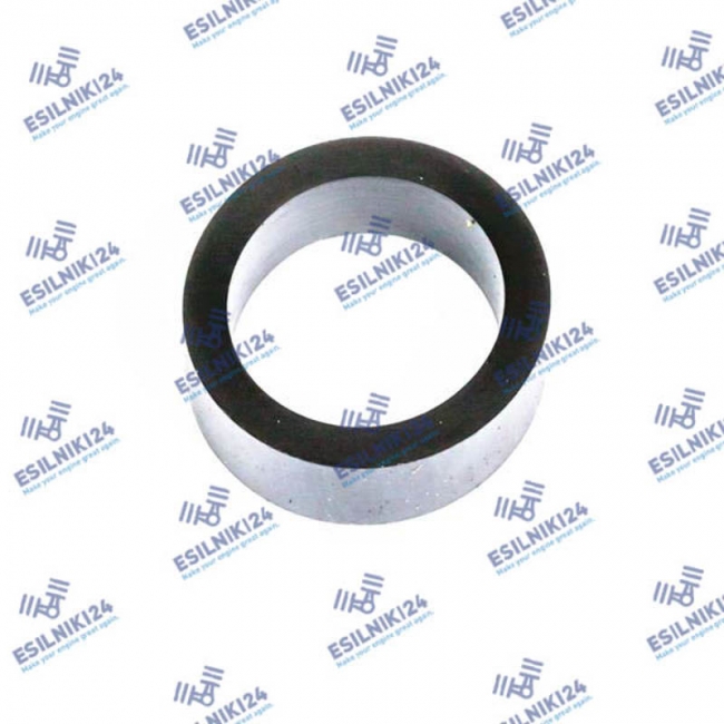 PERKINS ANTI-DUST SEAL INJECTOR GENUINE | esilniki24.pl
