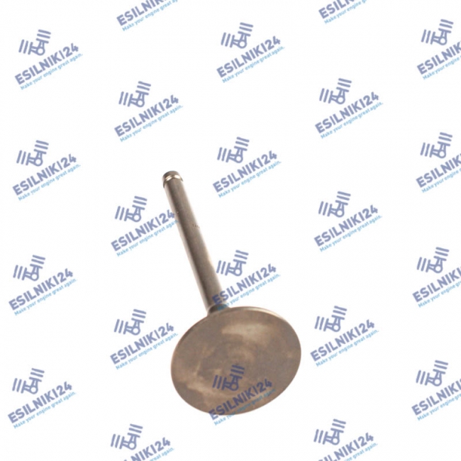 CAT ZAWÓR SSĄCY C4.4 3054C ORYGINAŁ | esilniki24.pl