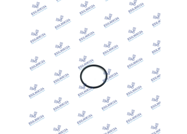 KOHLER ORING TULEI WTRYSKIWACZA KDI2504 KDI1903 ORYGINAŁ | esilniki24.pl